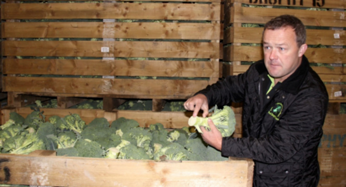 Paul Brophy Produce – Ready Chef