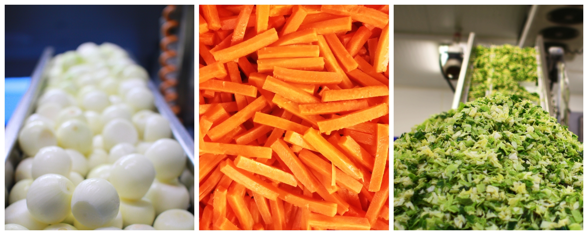 Ready Chef – Fresh Fruit & Vegetable Produce Supplier Dublin